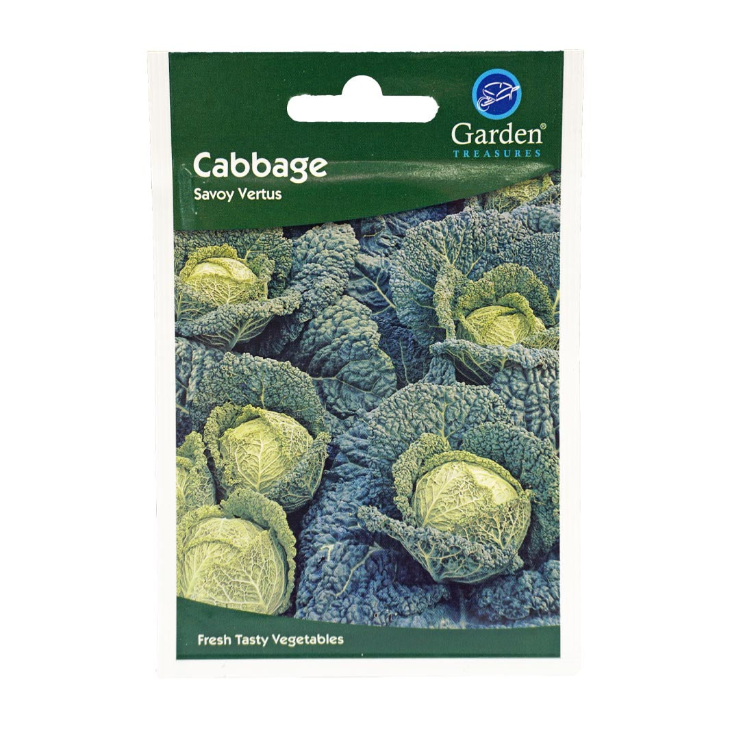Cabbage (Savoy Vertus) Seeds (90p each or 5 for £4) – Evans for Everyone
